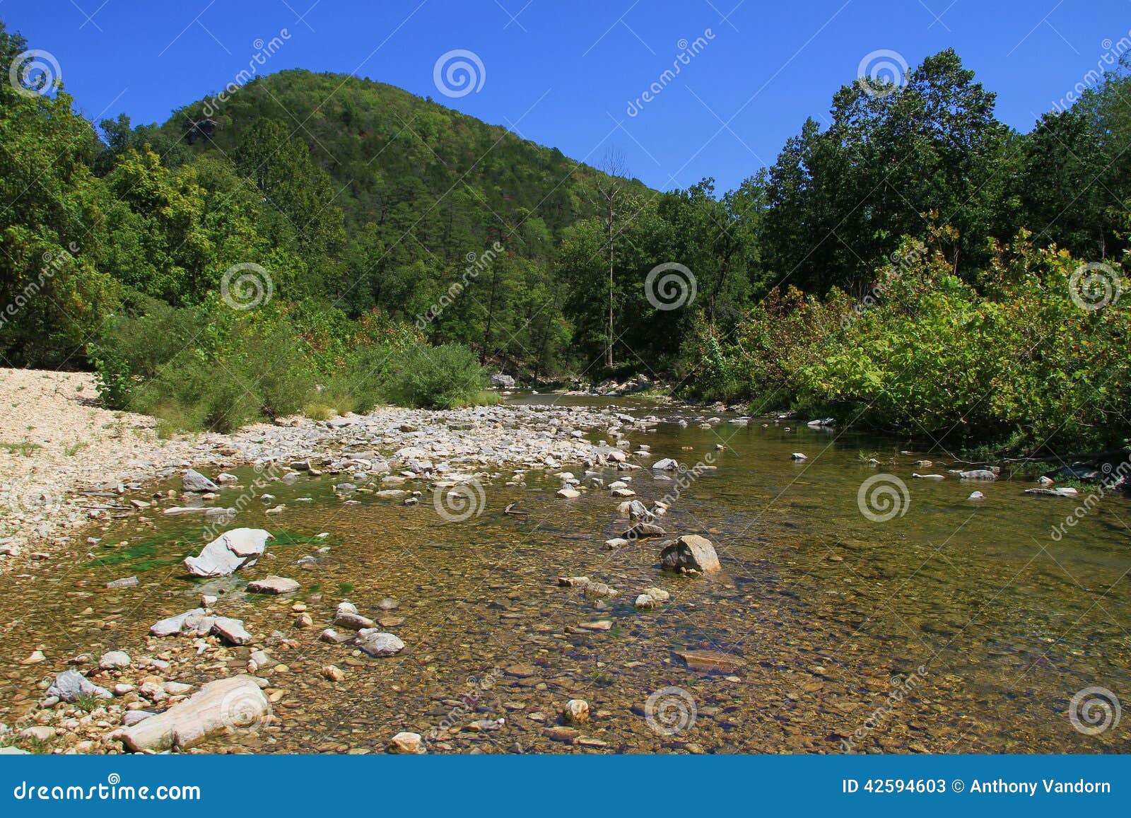 Rocky Mountain Stream stock image. Image of meadow, color - 42594603