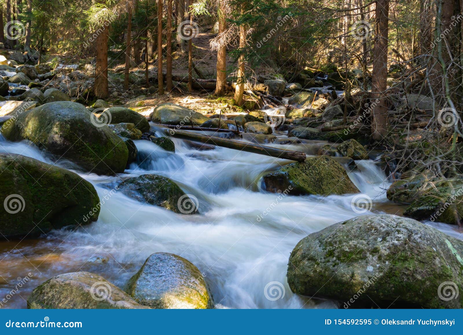 Rocky Mountain Stream and Gum Trees in Background. Stock Image - Image ...
