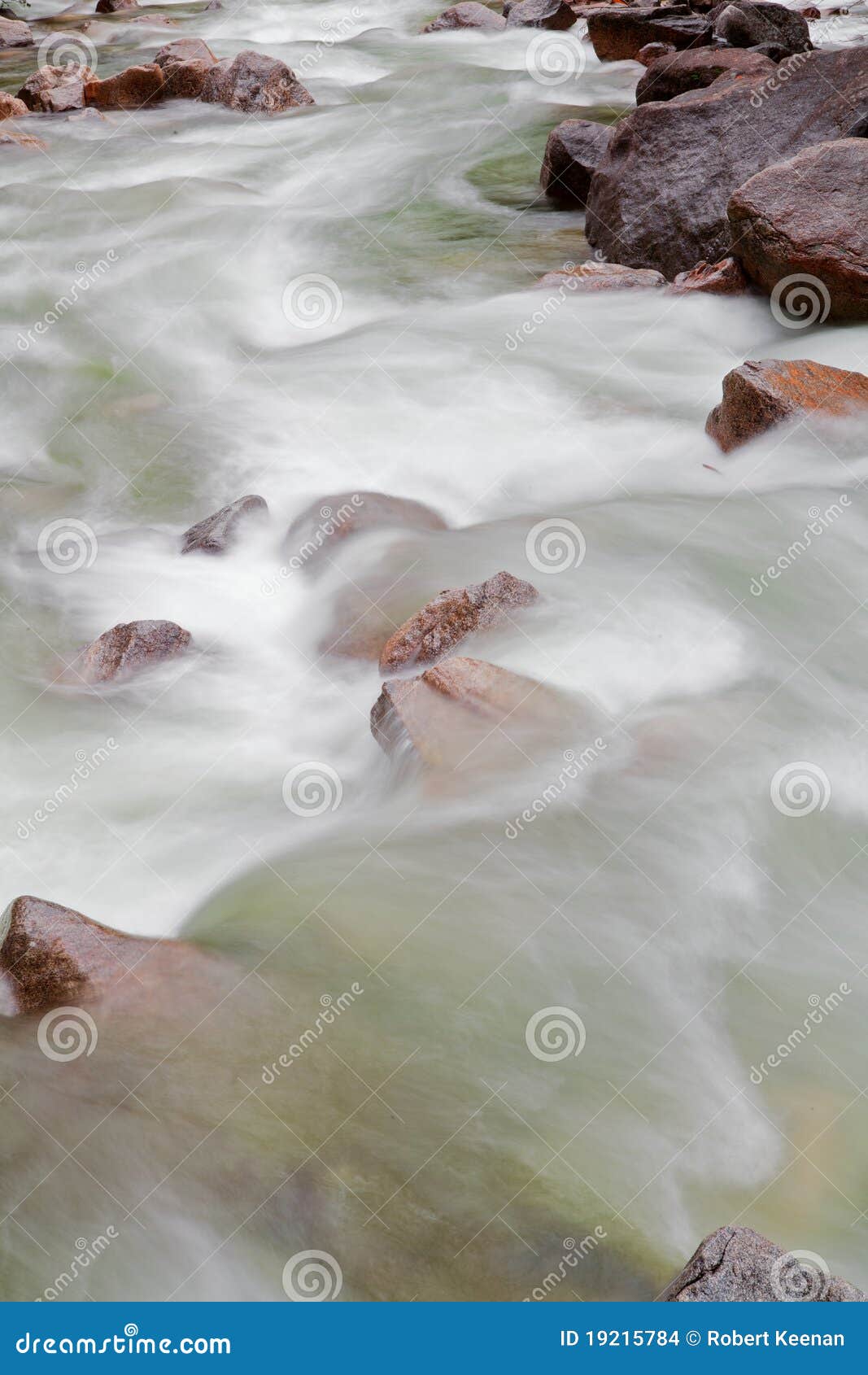 Rocky Mountain Stream Vertical Stock Photo - Image of park, environment ...