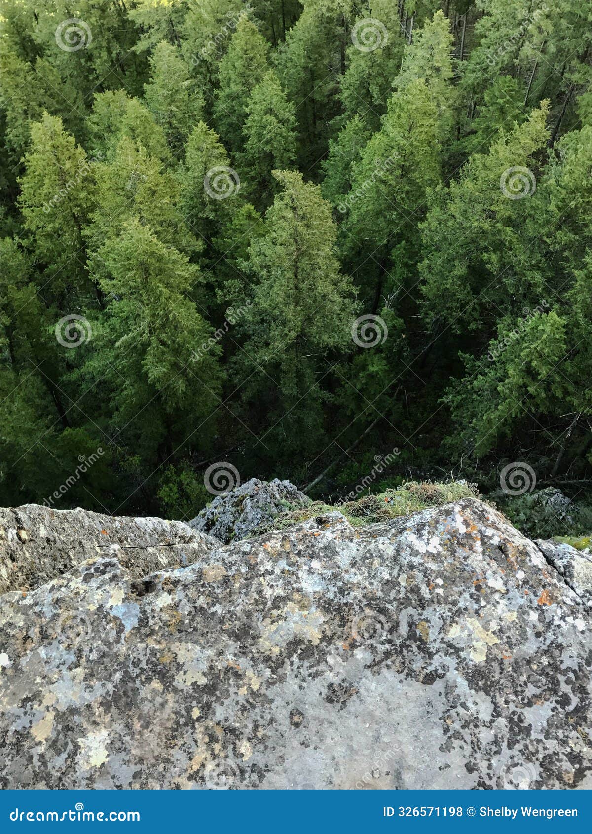 Rocky Mountain Top Edge Overlooking Pines Stock Photo - Image of utah ...