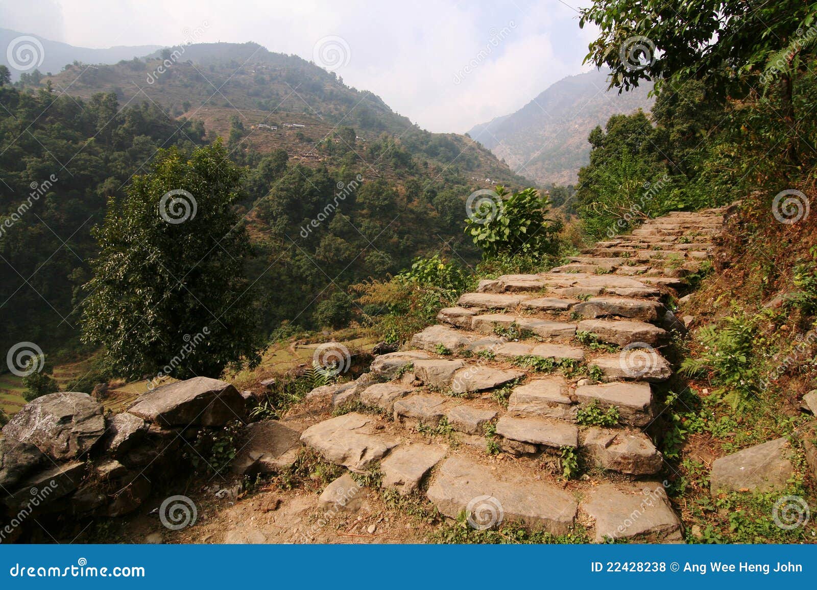 Rocky Mountain Trail Staircase Stock Photo - Image of track, descend ...