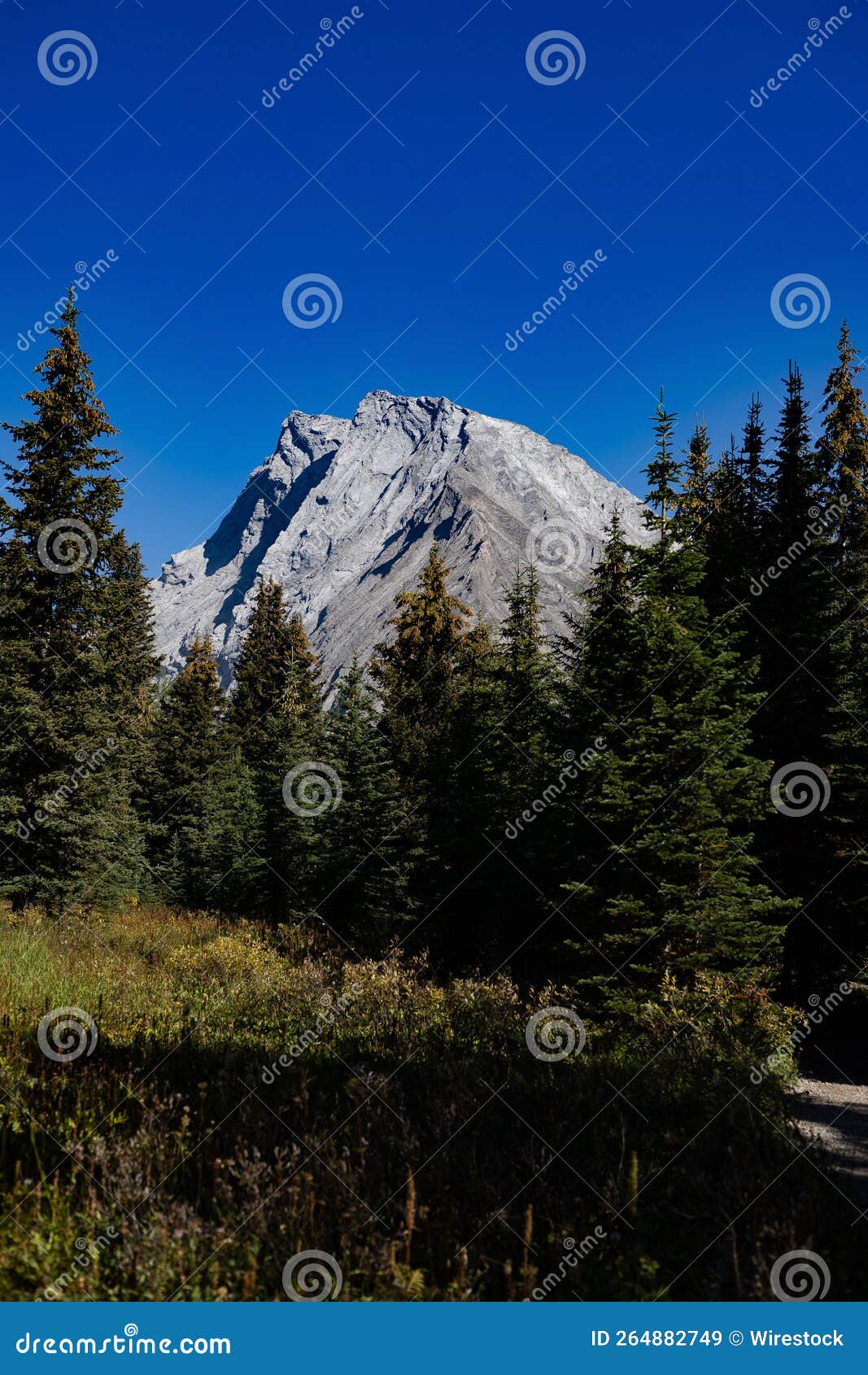 Rocky Mountains in Front of a Forest with a Blue Sky in the Background ...