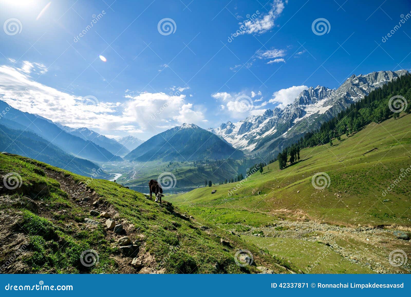 Rocky Mountains and Green Field Stock Image - Image of geographical ...
