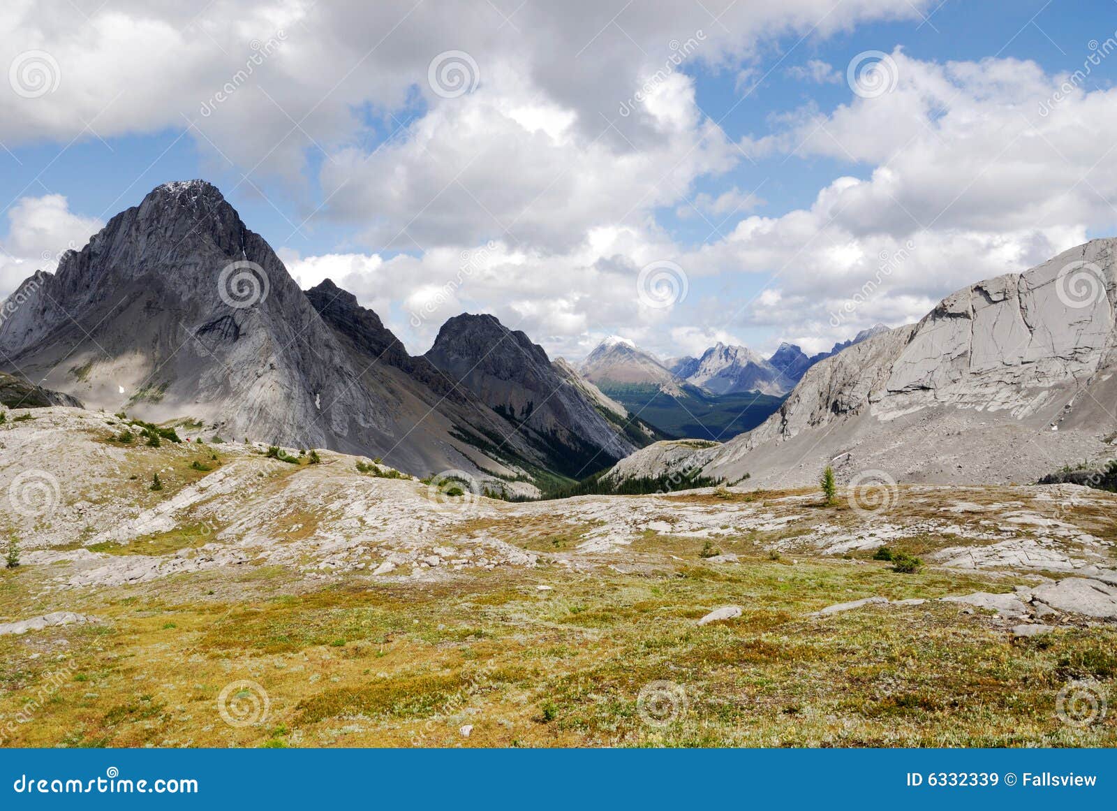 Rocky Mountains and Meadows Stock Image - Image of canadian, kananaskis ...