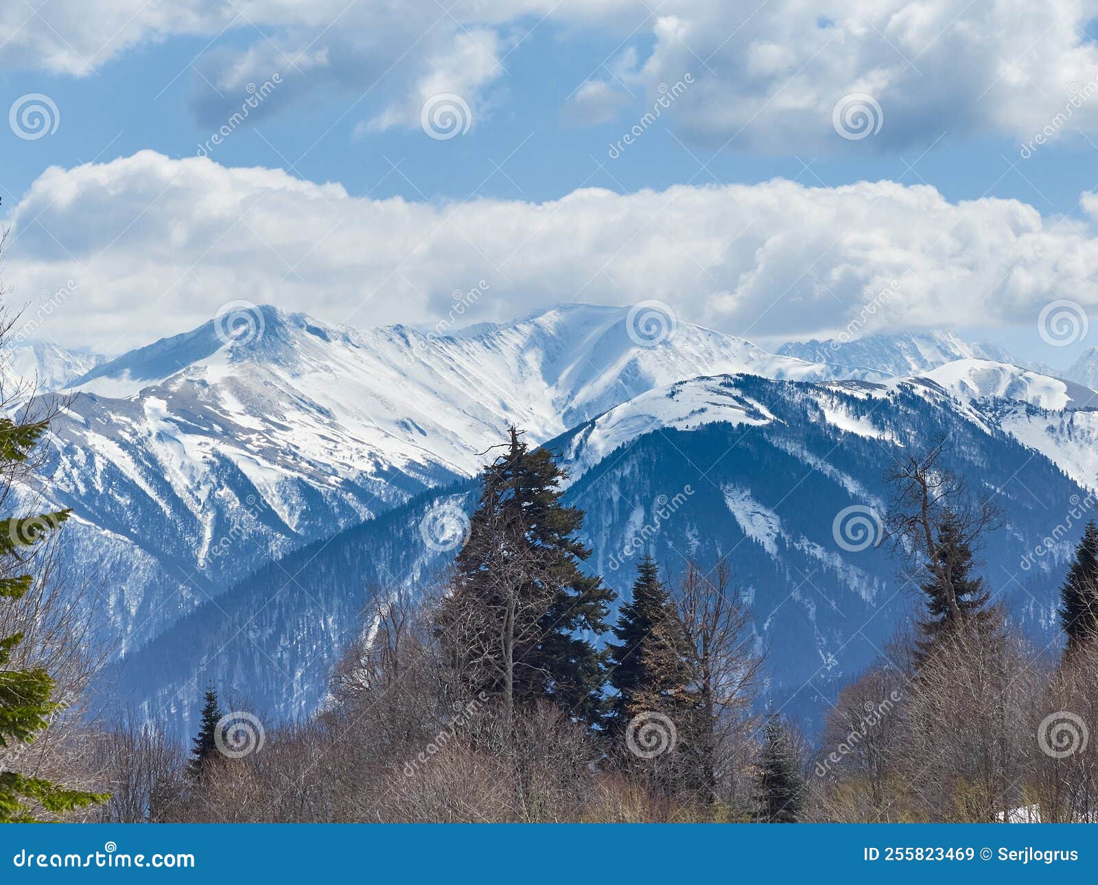 Rocky Mountains. Mountain Range Stock Image - Image of summer, panorama ...