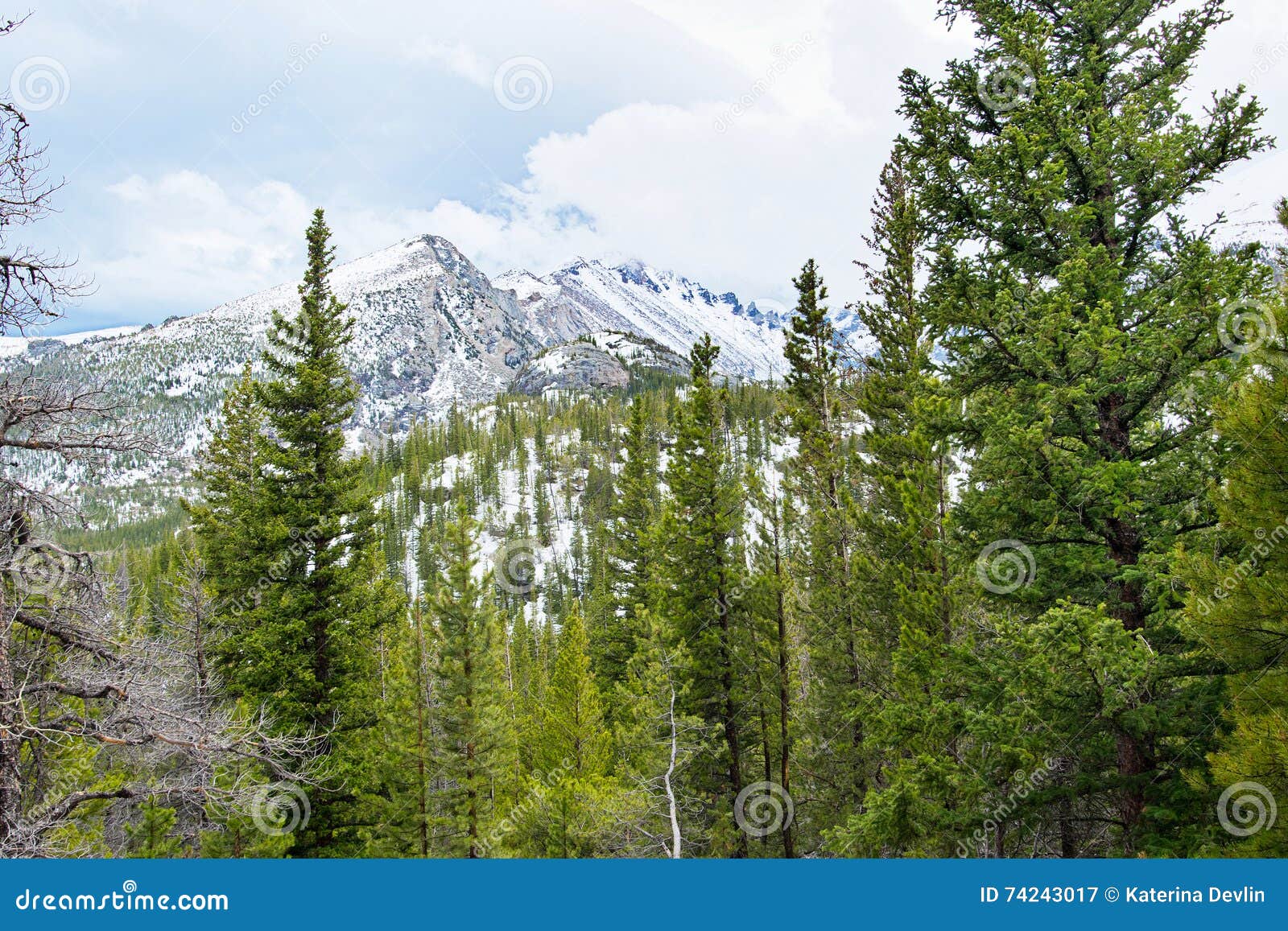 Rocky Mountains in the Springtime Stock Image - Image of panorama ...