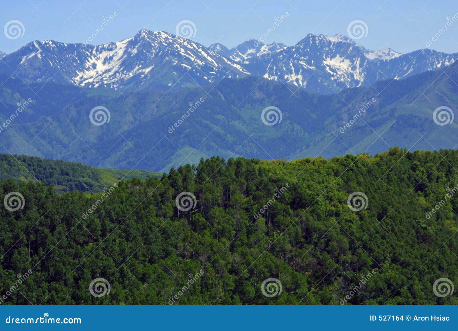 Rocky Mountains Stretching into Distance Stock Photo - Image of ...