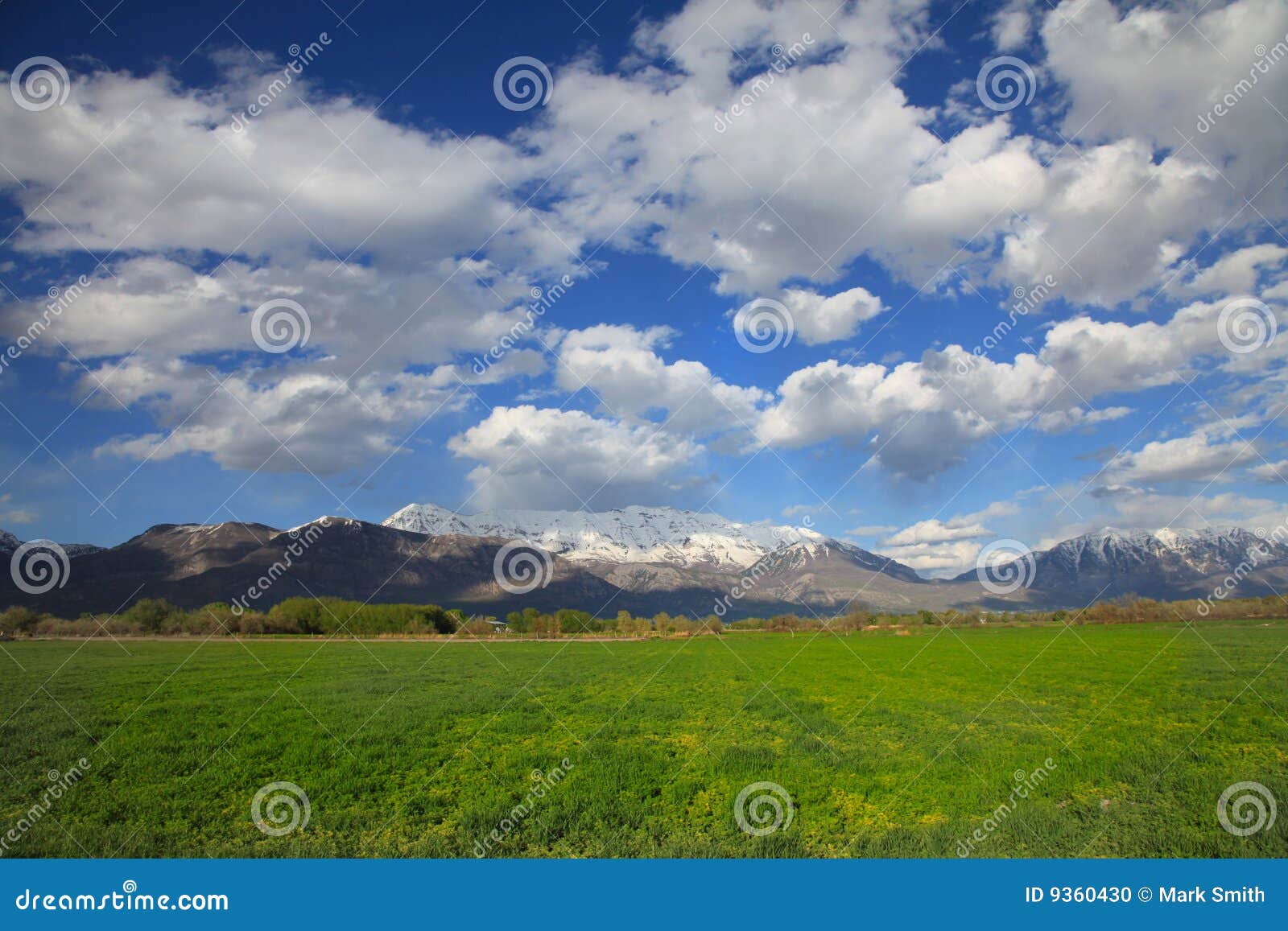 Rocky Mountin Spring stock photo. Image of sunny, spring - 9360430