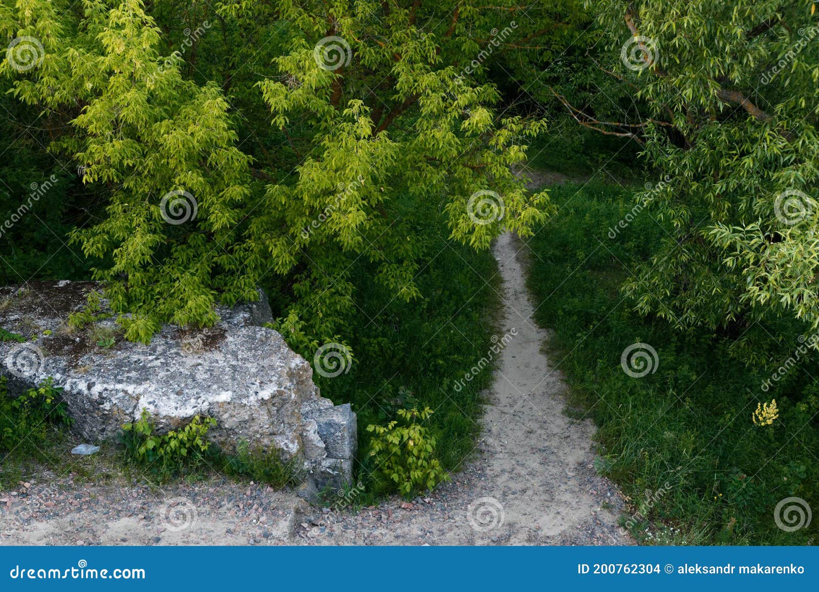 Rocky Narrow Winding Path in the Forest Stock Photo - Image of park ...