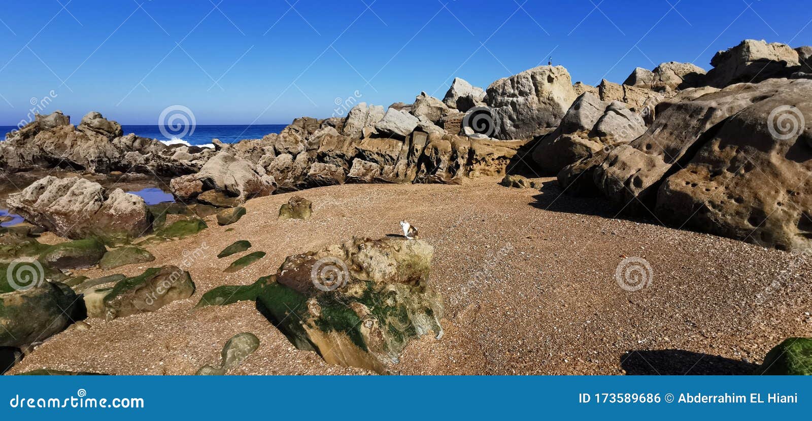 Rocky Ocean Beach stock photo. Image of ocean, beach - 173589686