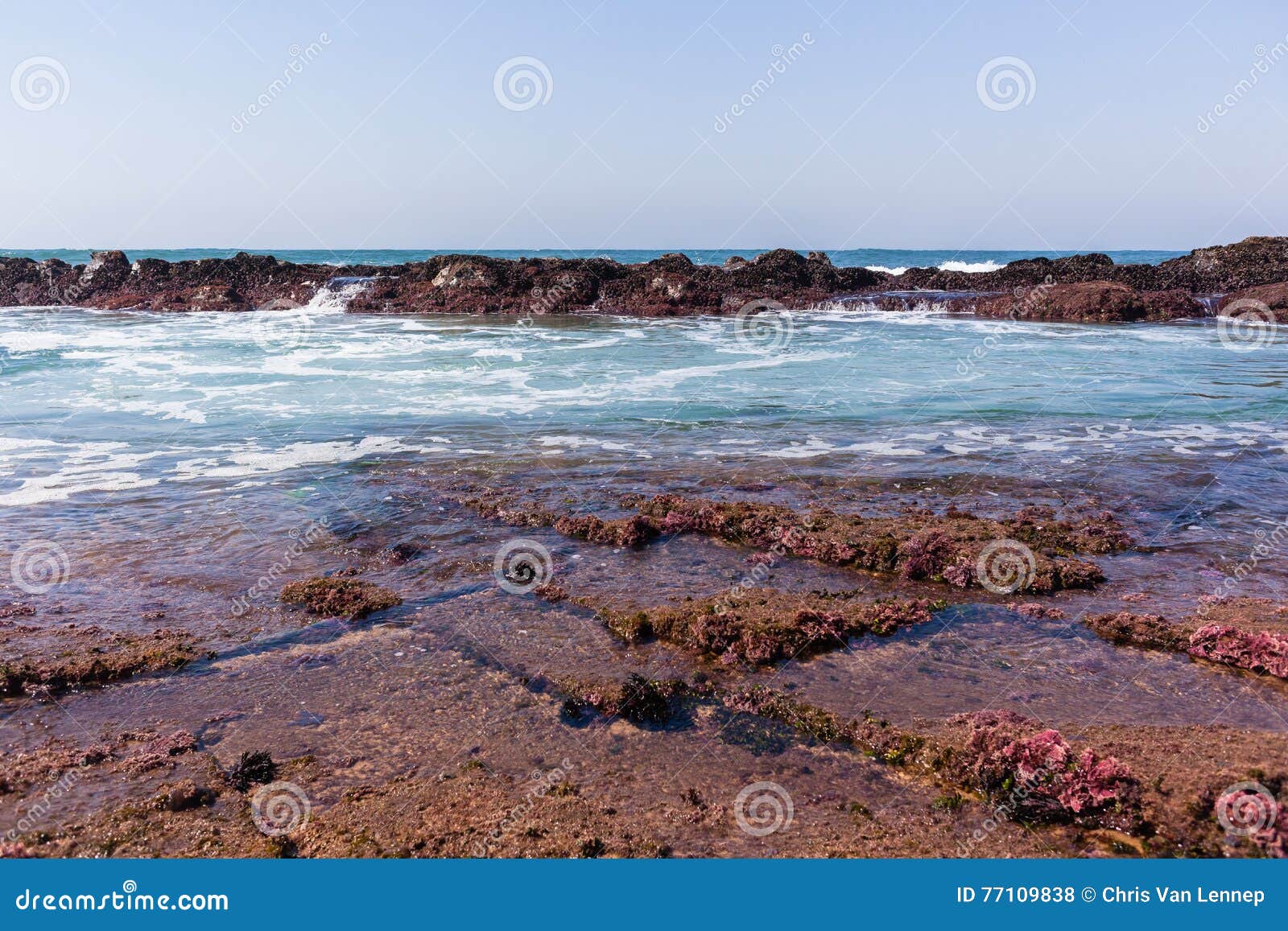 Rocky Ocean Waves Tidal Pools Foto de Stock - Imagem de feriados ...