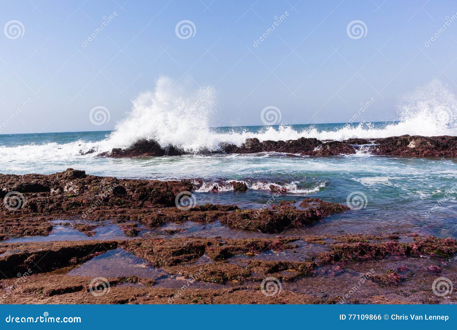 Rocky Ocean Waves Tidal Pools Stock Foto - Image of zwembaden, kustlijn ...
