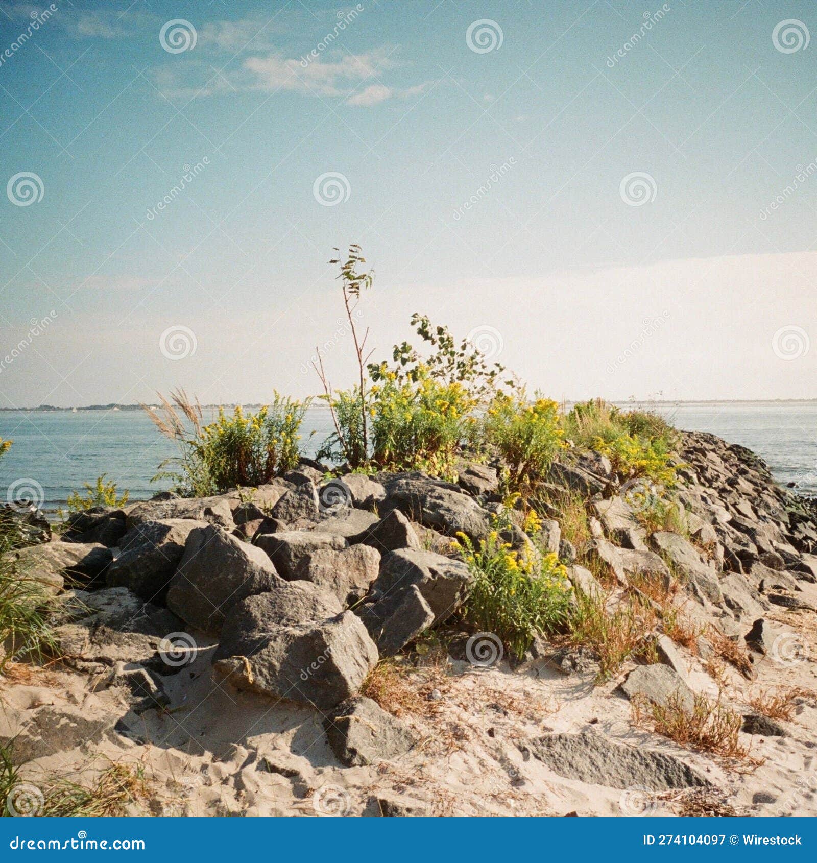 Rocky Outcrop Overlooking a Sparkling Ocean Stock Image - Image of ...
