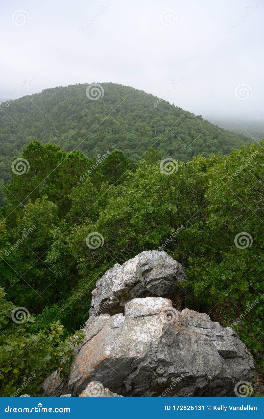 Rocky Outcropping Above Thick Forest Stock Image - Image of hiking ...
