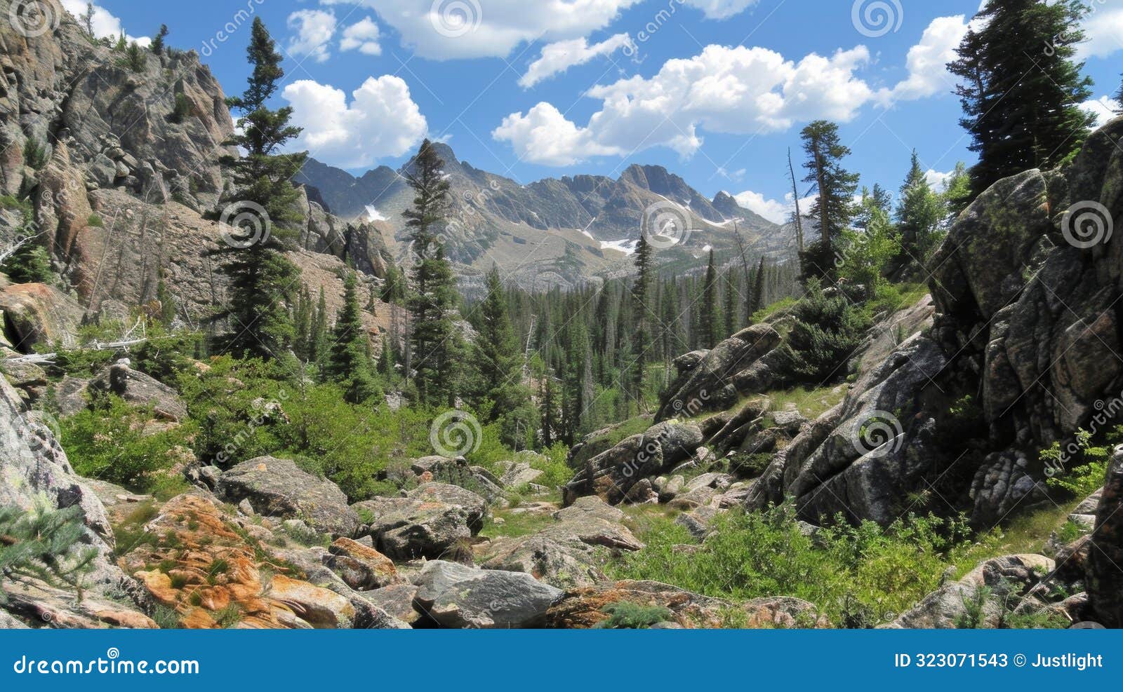 Rocky Outcroppings and Towering Trees Dot the Rugged Landscape of the ...