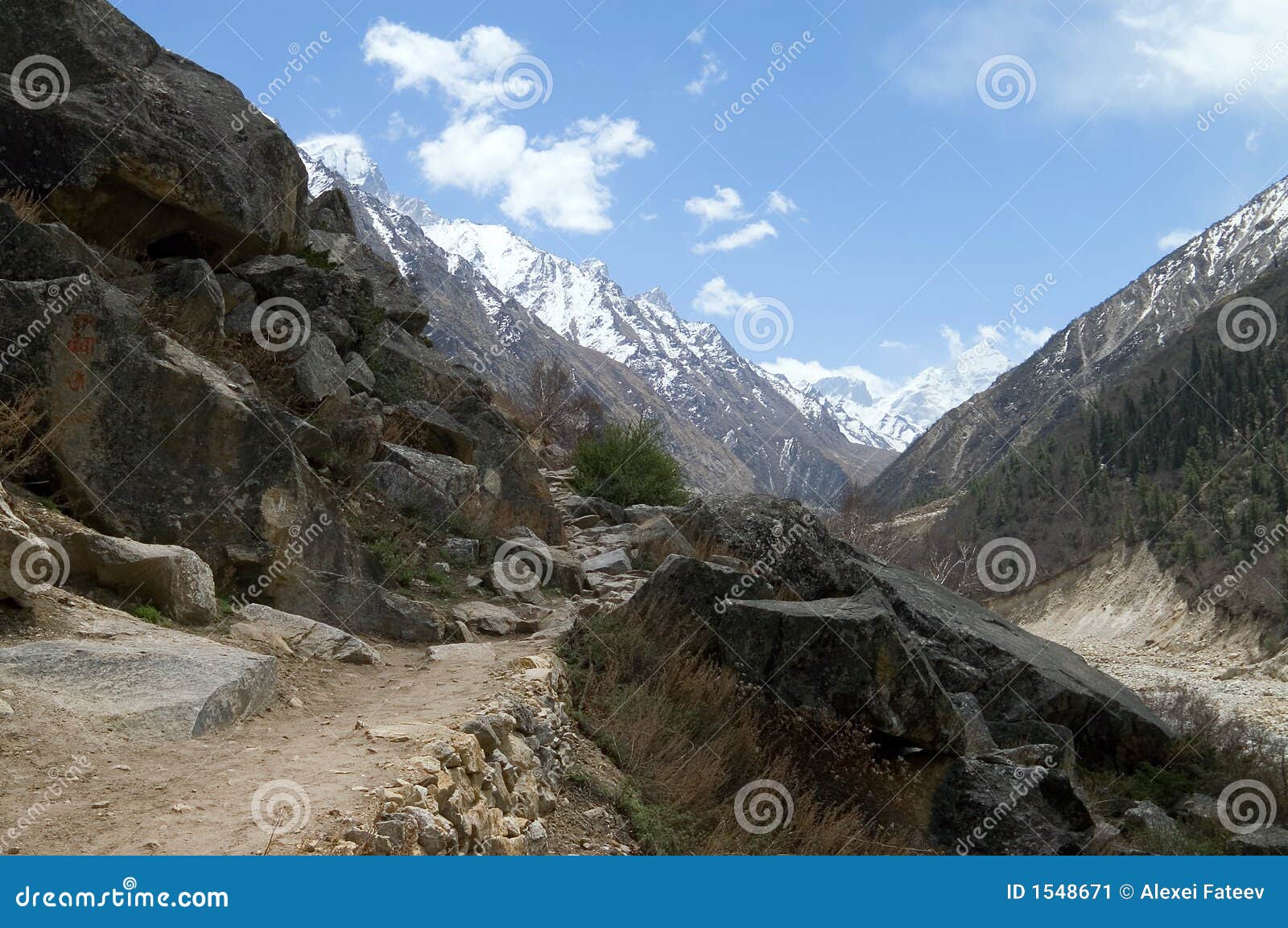 Rocky path stock image. Image of india, peak, path, conifer - 1548671