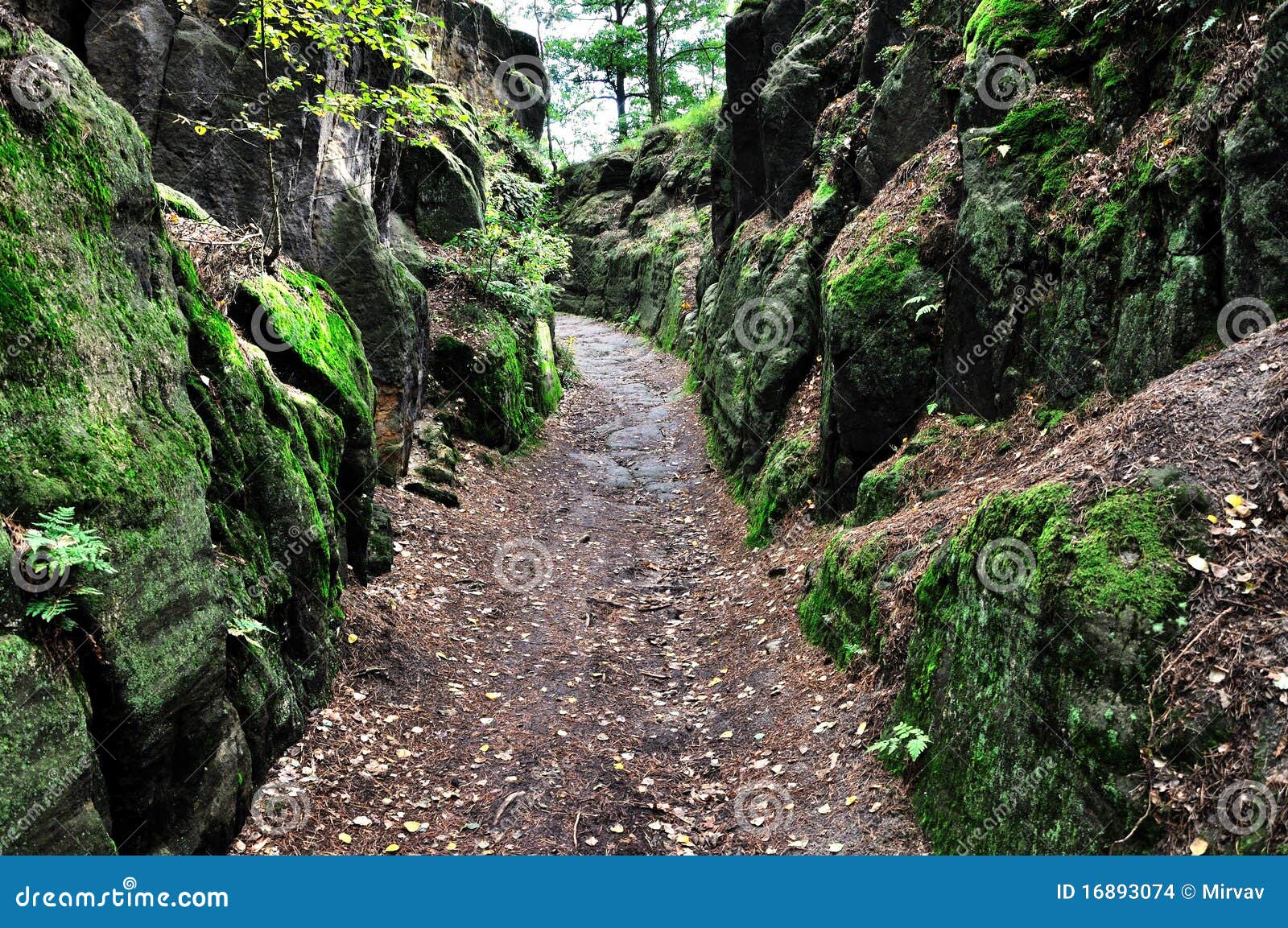 Rocky path stock photo. Image of weathering, blue, national - 16893074