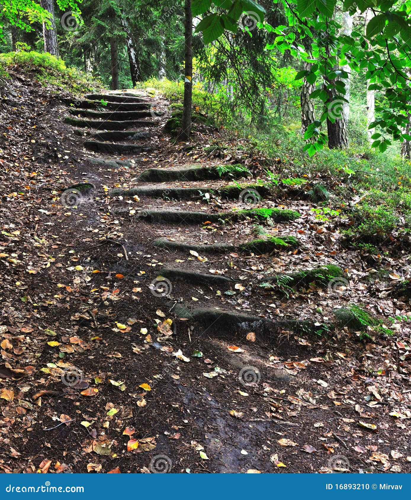 Rocky Path Stock Photo - Image: 16893210