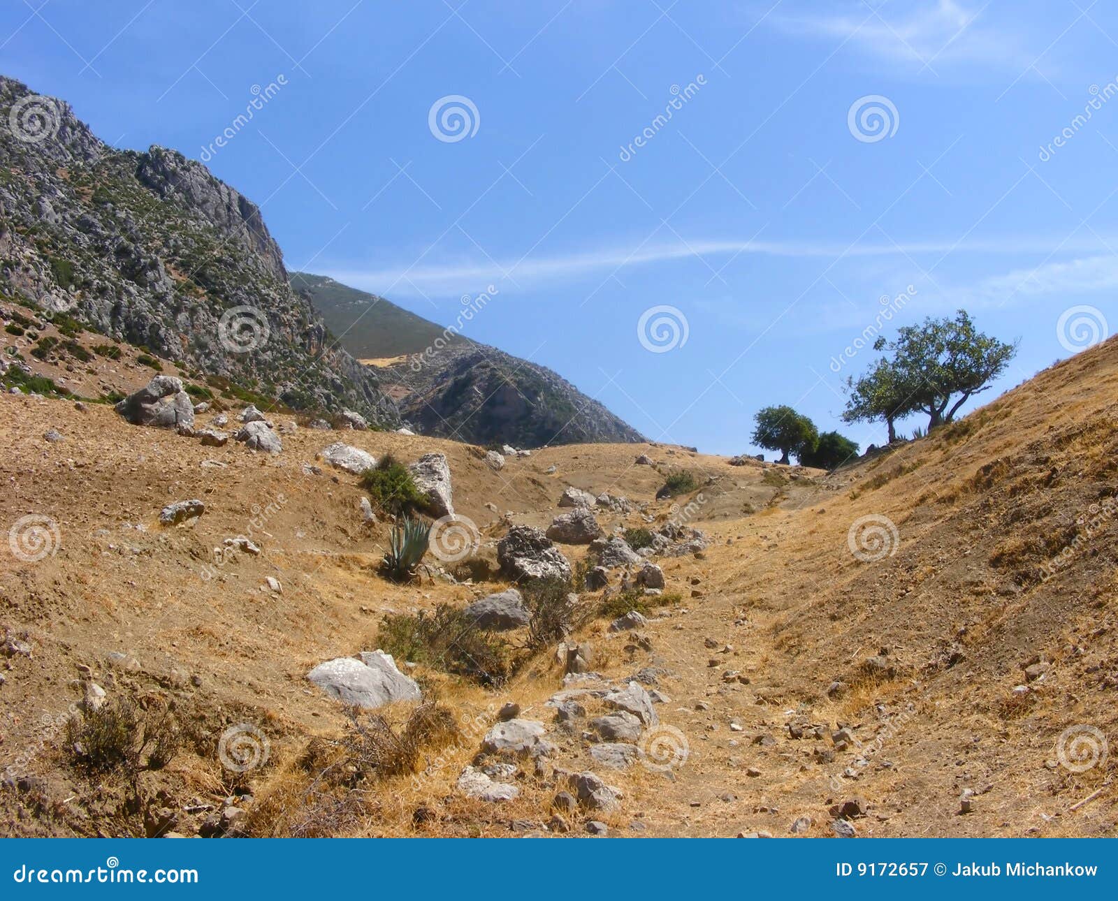Rocky path stock image. Image of rocks, path, grass, riff - 9172657