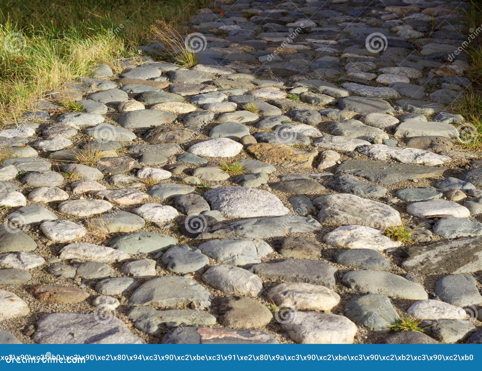 Rocky Path in the Forest. Big Rocks on the Forest Road. Stock Photo ...