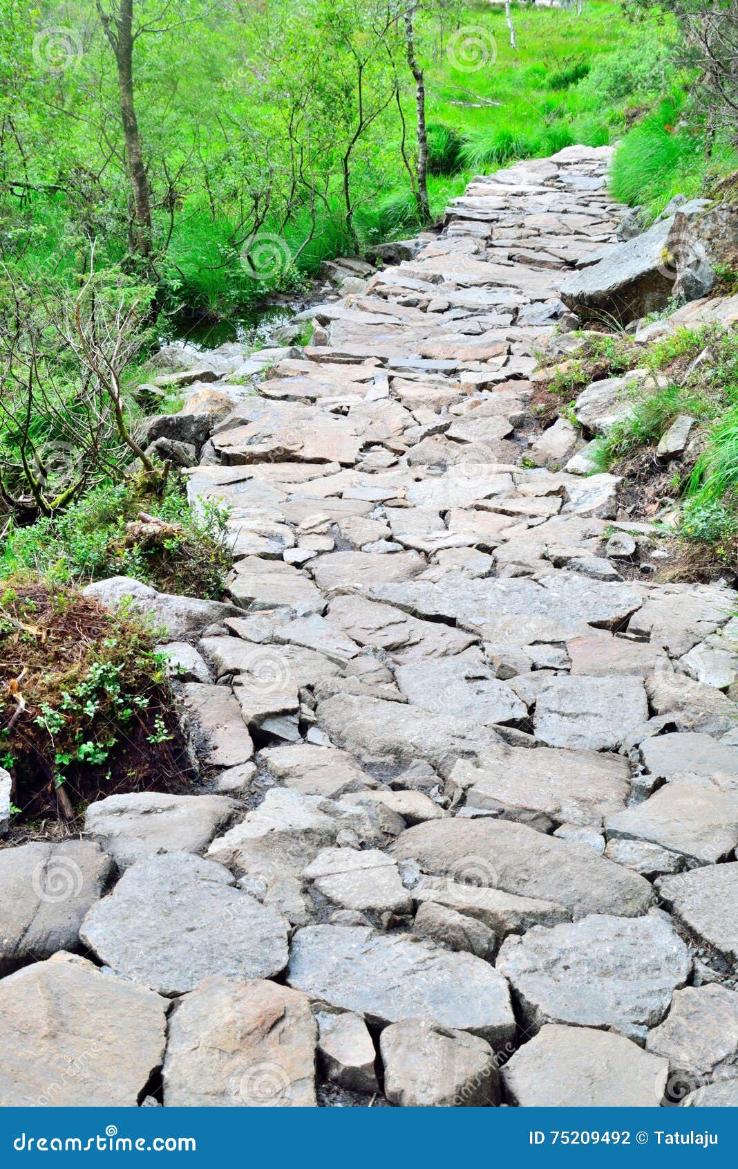 Rocky path stock photo. Image of trail, tourist, tourism - 75209492