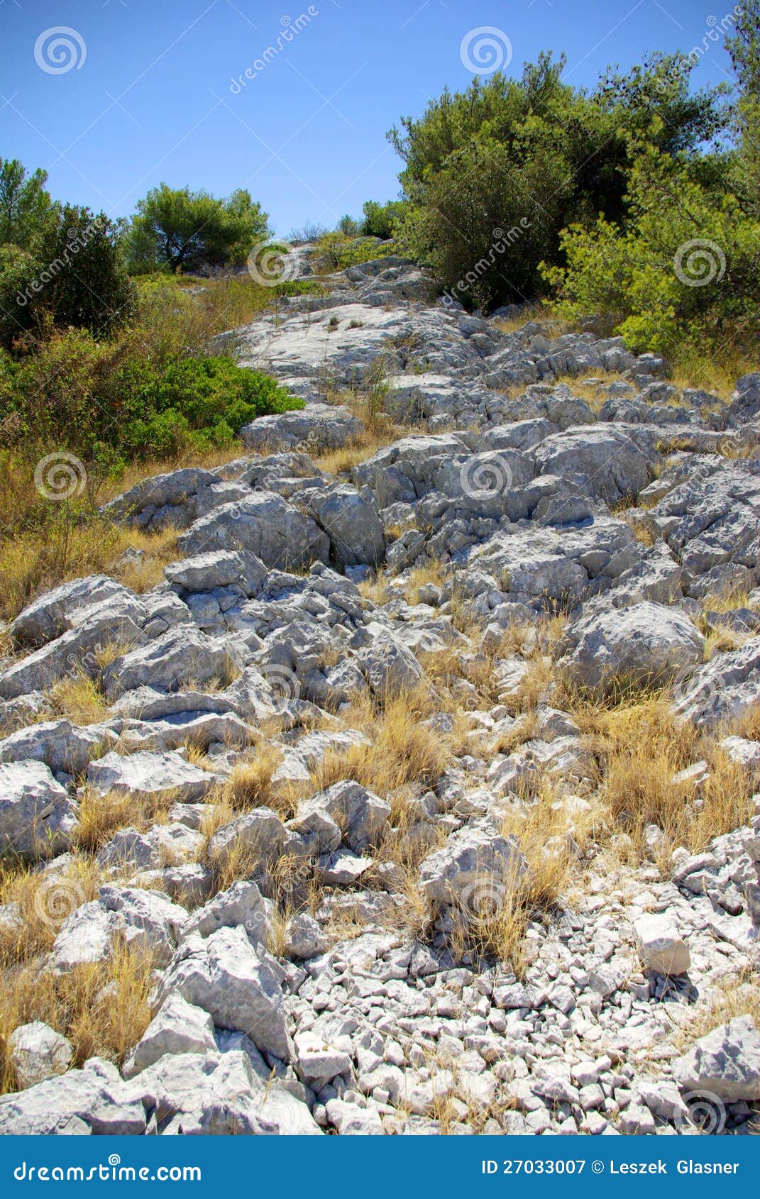 Rocky Path And Grassy Rax Plateau On Hike Dambocksteig From Schneeberg ...
