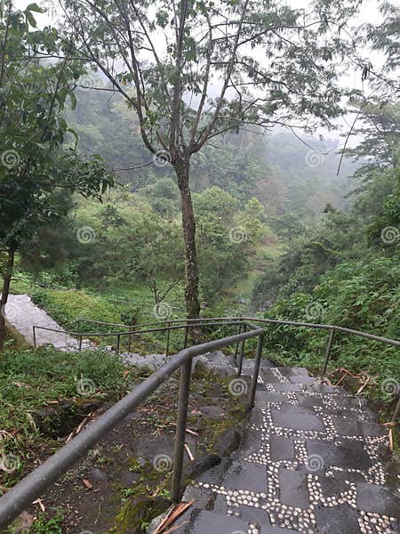 Rocky Path on a Mountain Cliff during a Drizzle Stock Photo - Image of ...