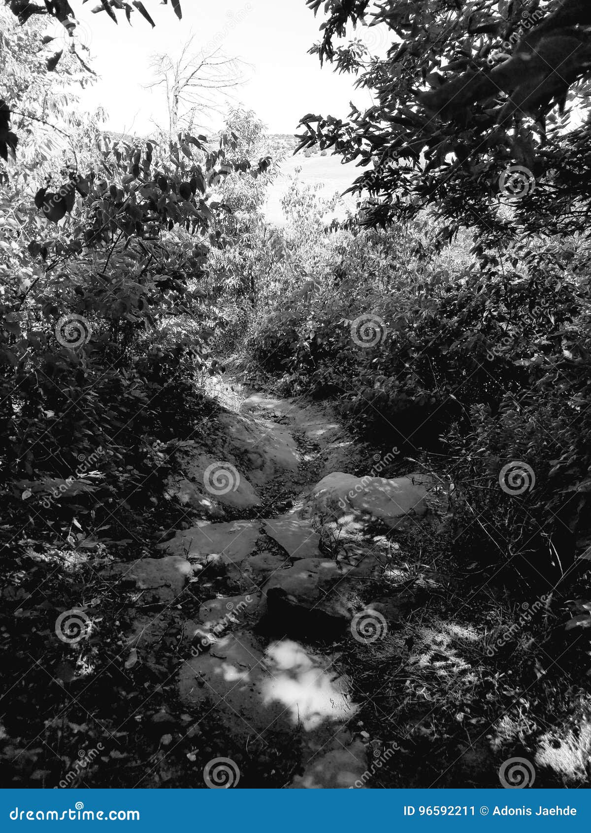 Rocky Path stock image. Image of path, hill, kansas, rocky - 96592211