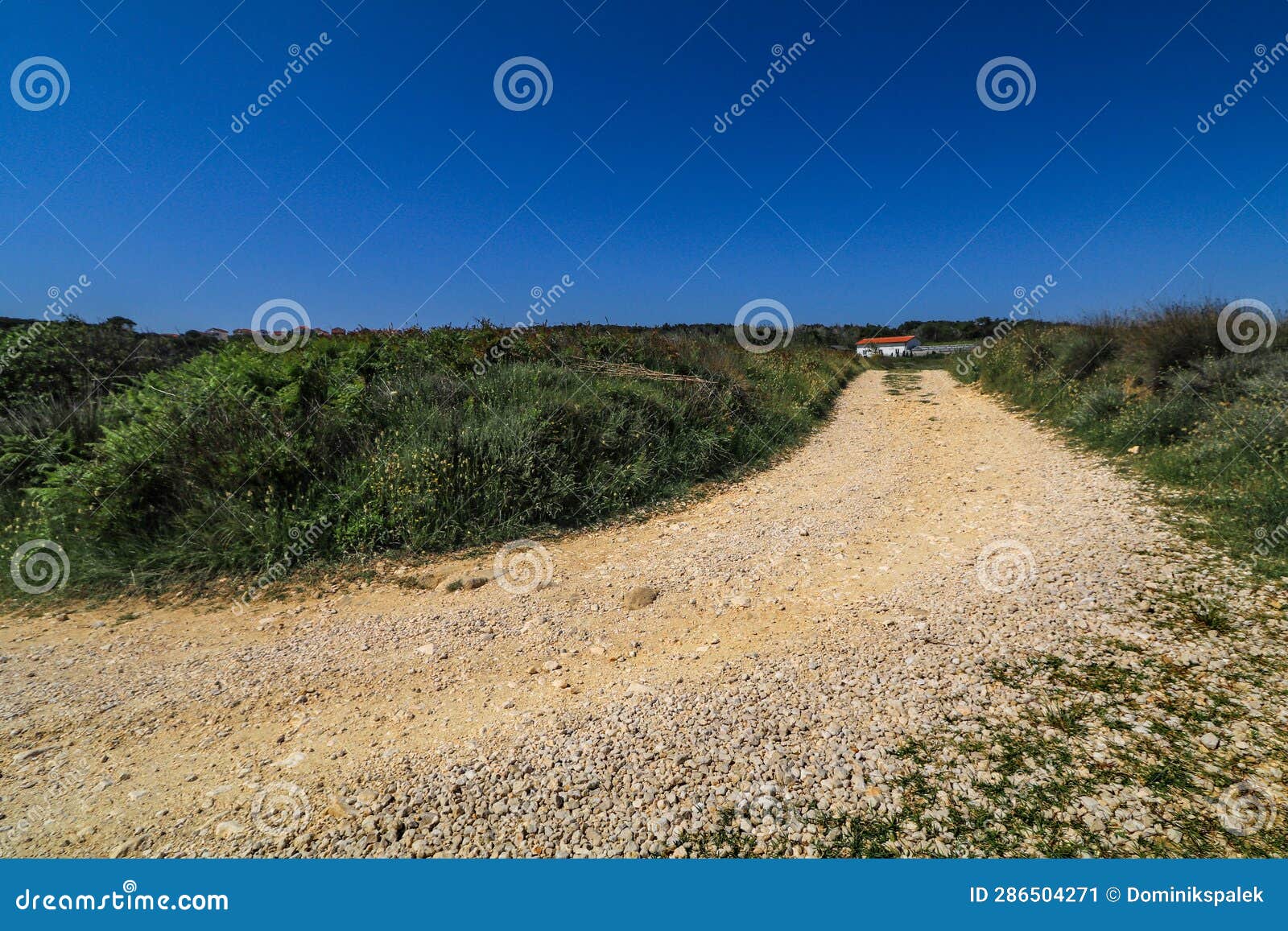 Rocky Path To the Beach in Croatia Stock Image - Image of scenery ...