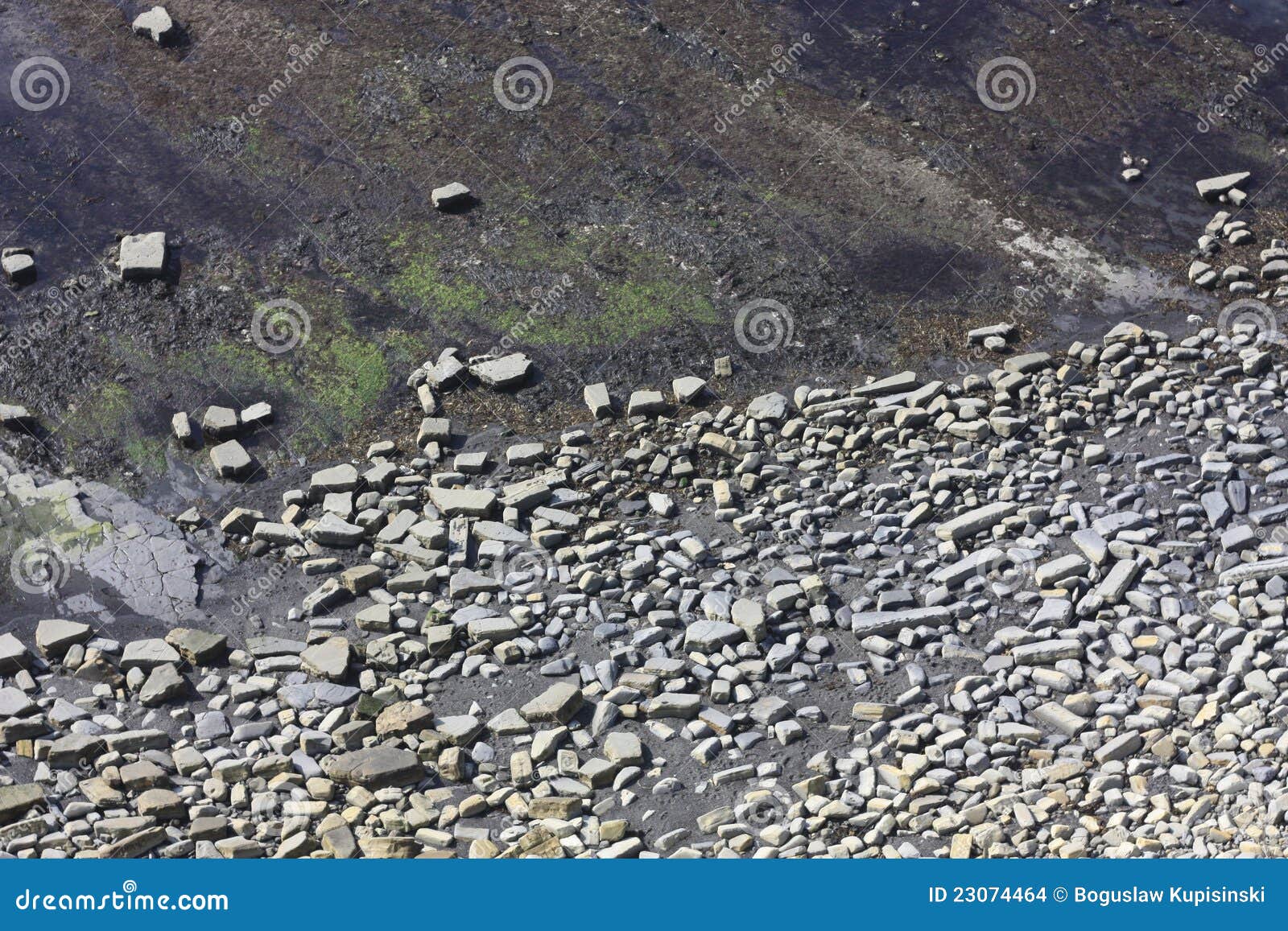 Rocky Patterns on the Low Tide Sea Bed Stock Photo - Image of fossil ...