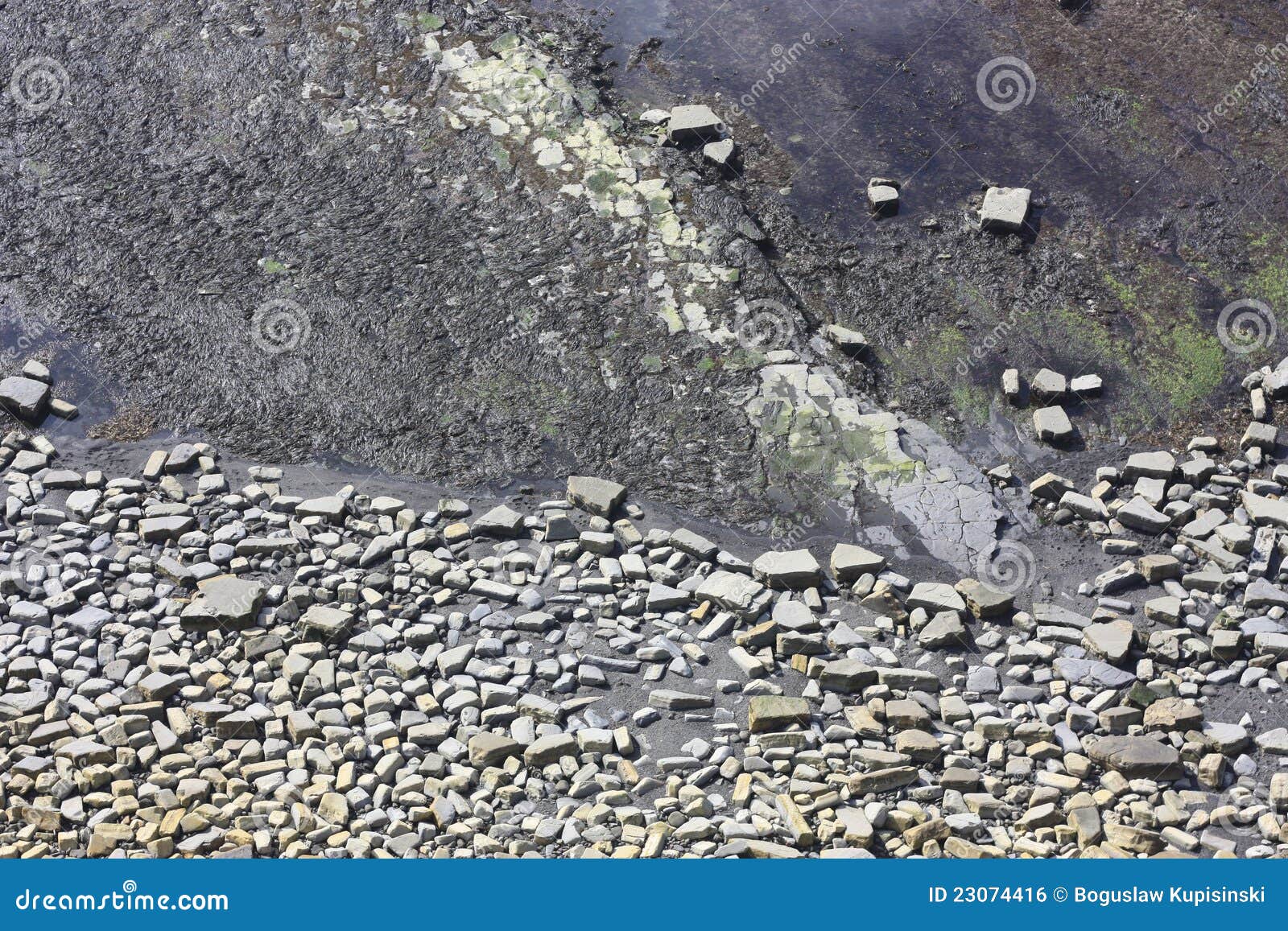 Rocky Patterns on the Sea Bed Stock Photo - Image of coastal, england ...