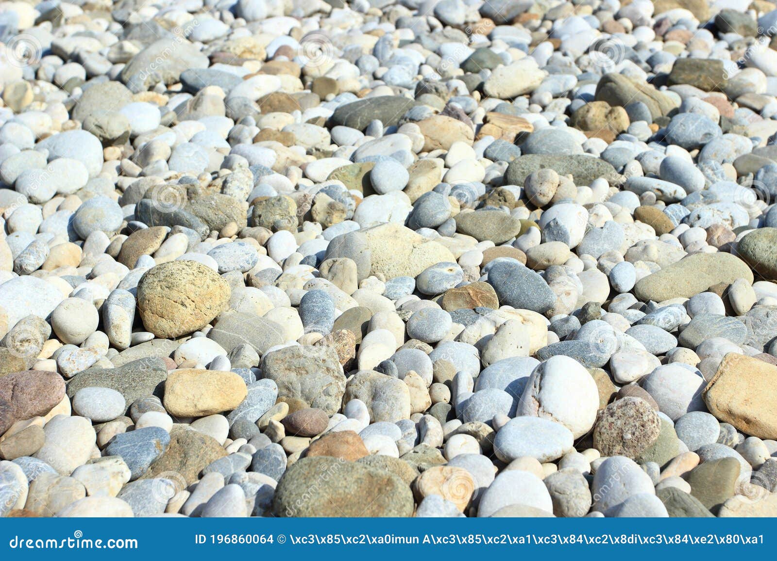 Rocky pebbles on the beach stock photo. Image of rock - 196860064