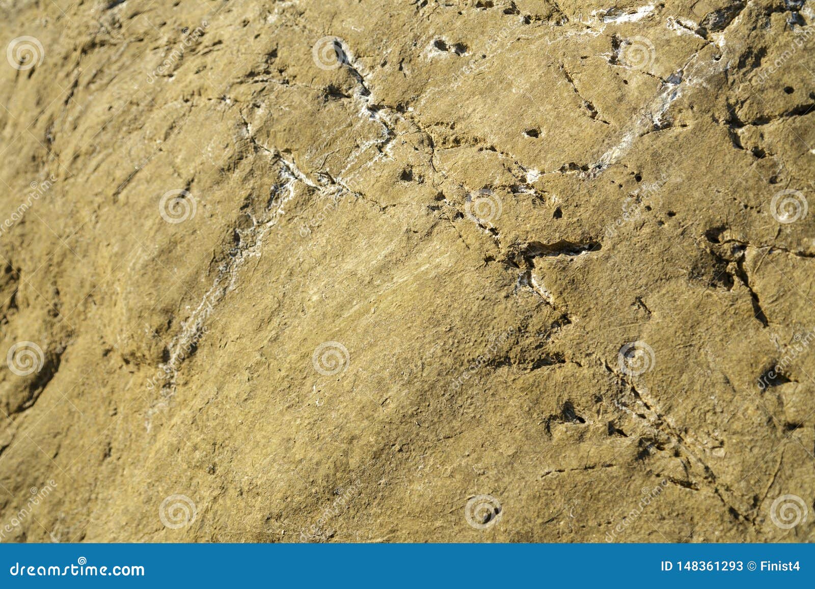 Rocky Porous Surface Close-up. Texture. Horizontal Frame Stock Image ...