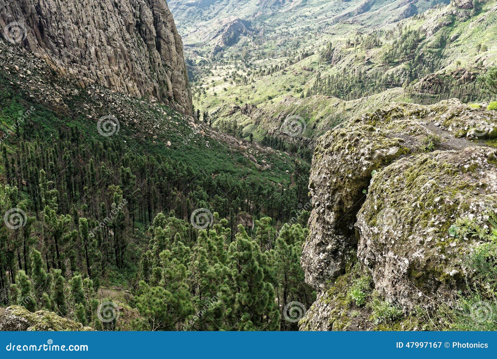 Rocky Ravine in La Gomera stock image. Image of trees - 47997167