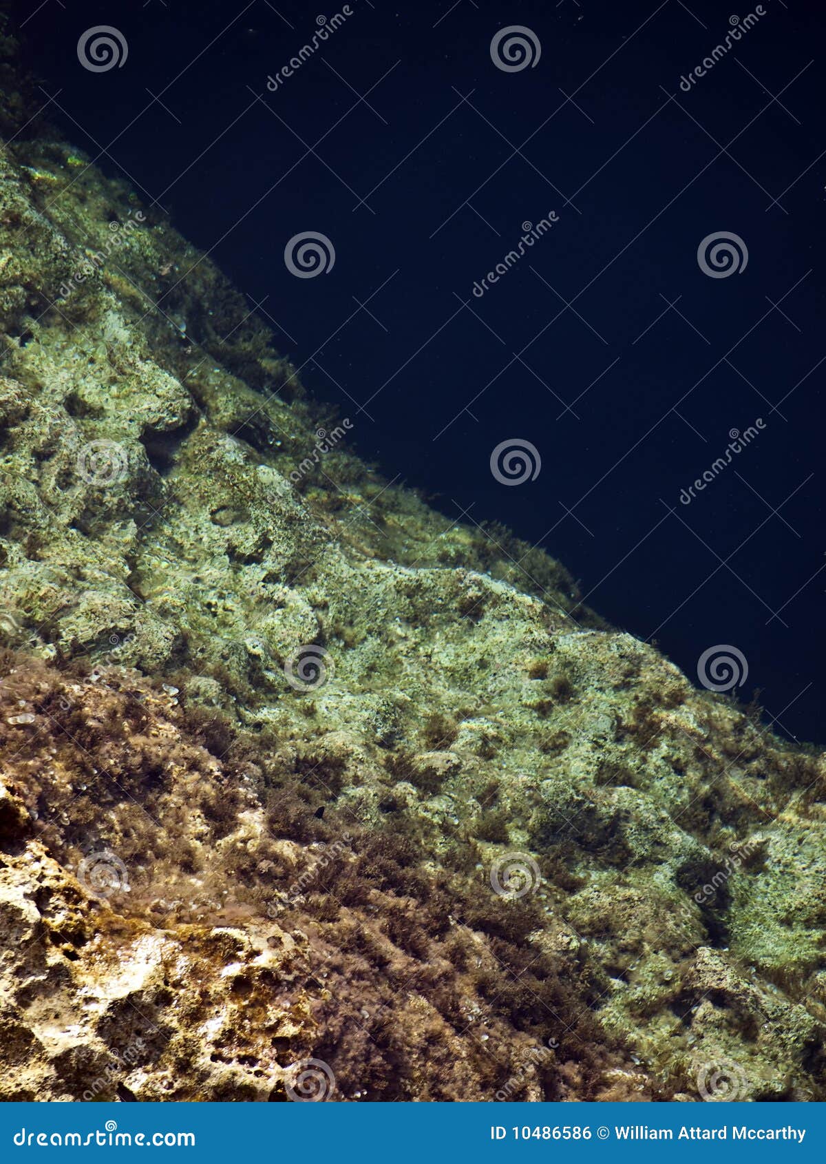 Rocky Reef stock photo. Image of erosion, deep, geographic - 10486586