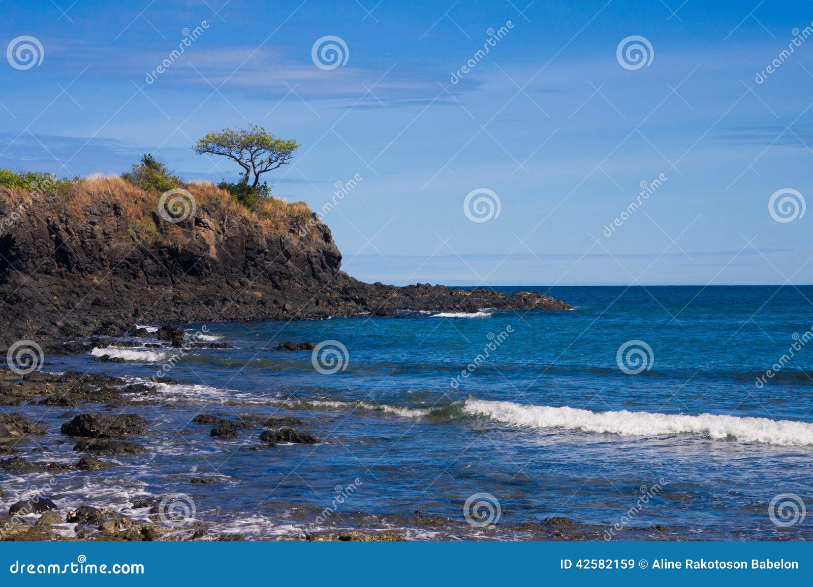 Rocky reef stock image. Image of scenic, jungle, beautiful - 42582159