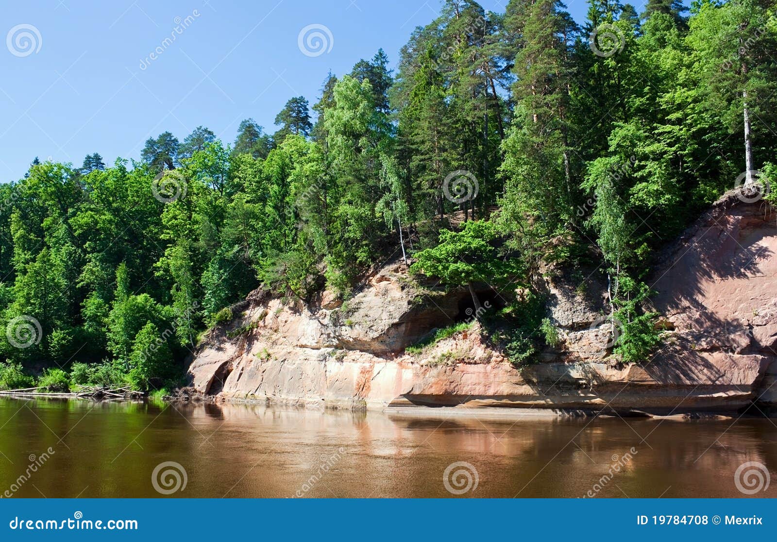 Rocky River In Forest Stock Image | CartoonDealer.com #16653499