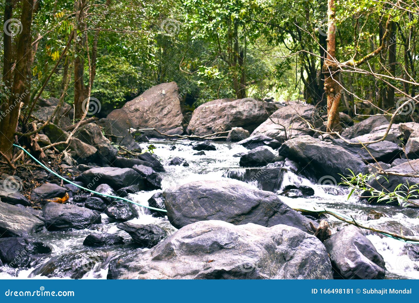 A Rocky River Bed in the Middle of the Forest Stock Image - Image of ...