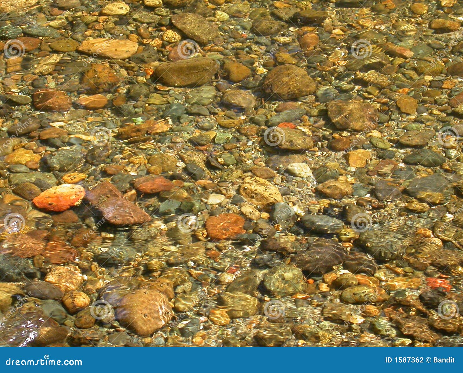 Rocky River Bottom stock photo. Image of rocks, strewn - 1587362