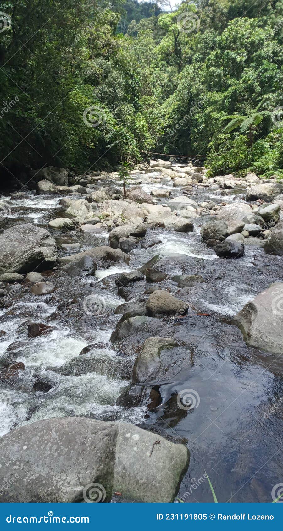 Rocky River with Fast Water Current Stock Image - Image of fast, trunk ...
