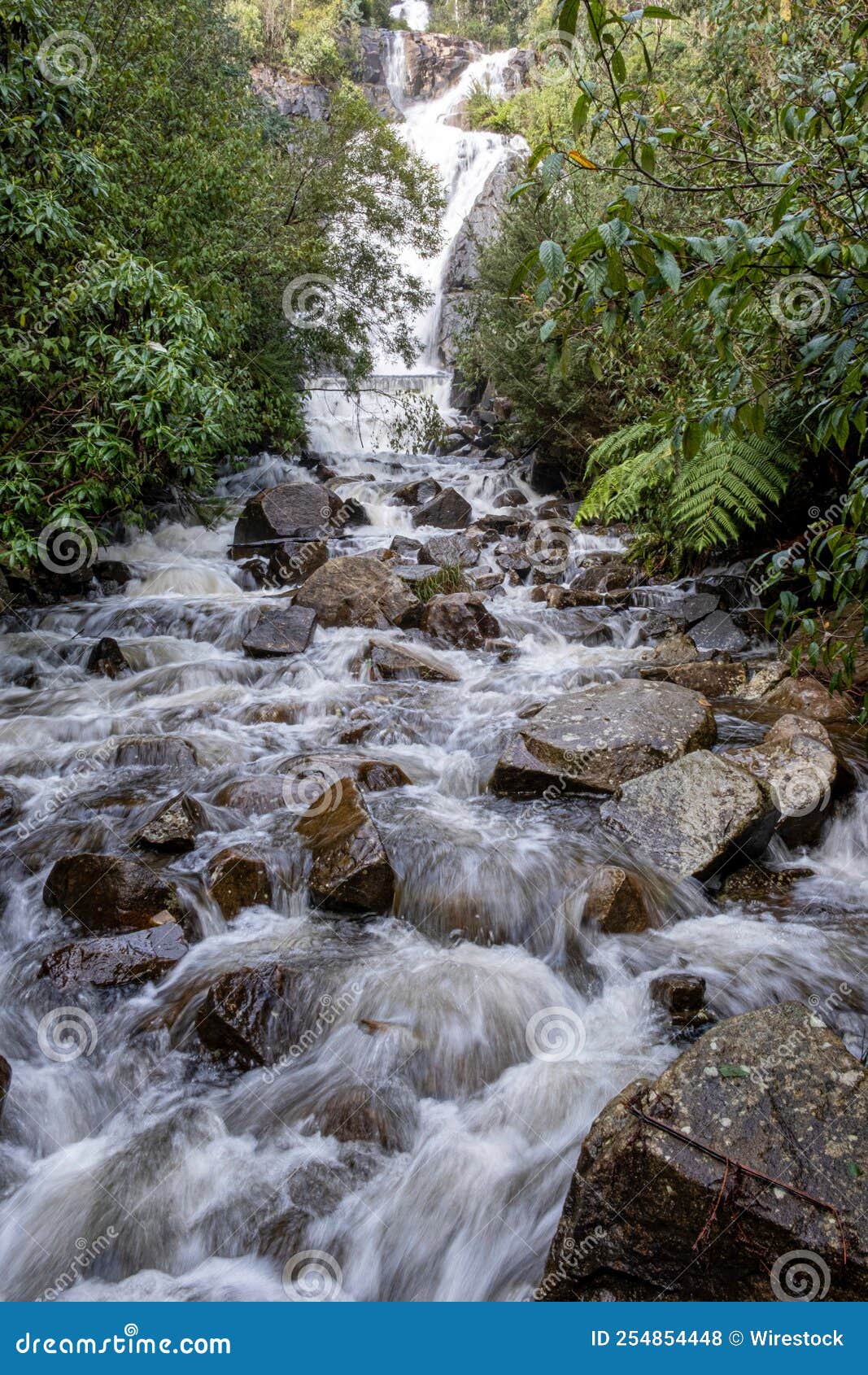 Rocky River Flowing Downstream in a Forest Stock Photo - Image of ...
