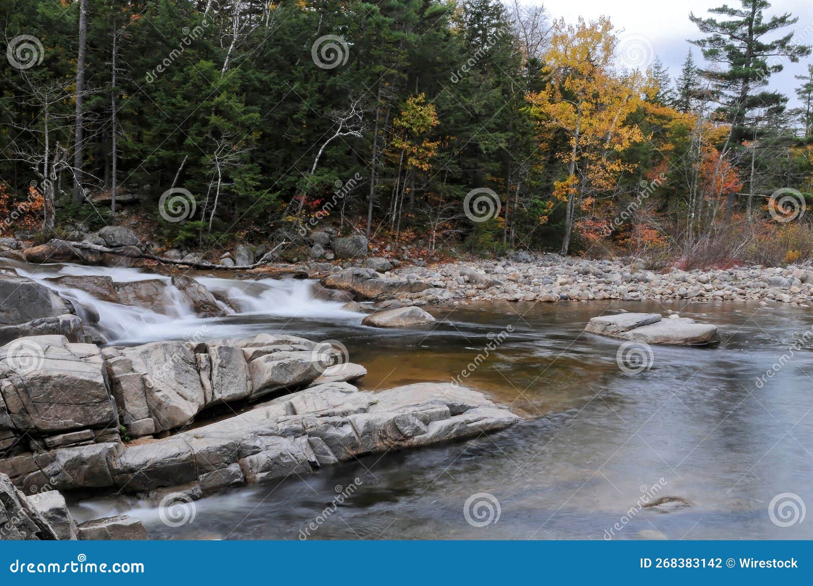 Rocky river in the forest stock illustration. Illustration of flowing ...