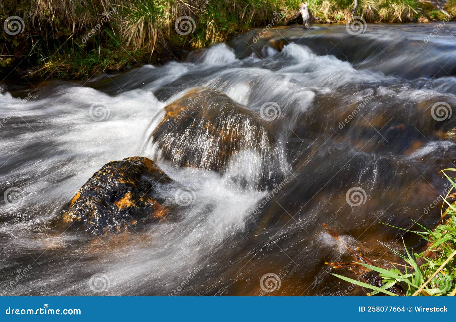 Rocky River in a Forest in Autumn Stock Photo - Image of park, scenic ...