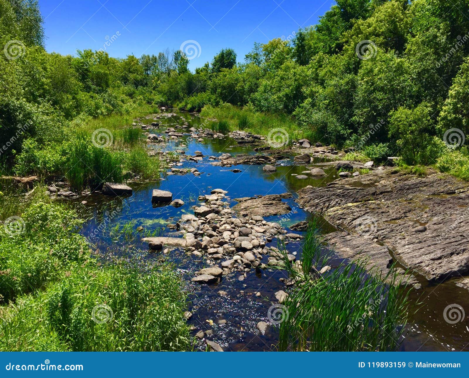 Rocky river in Maine stock image. Image of rocks, spring - 119893159