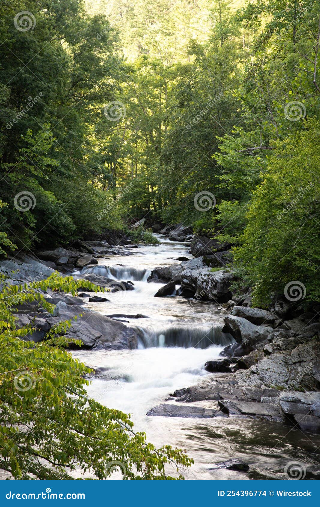 The Rocky River in the Nature Stock Photo - Image of landscape, forest ...