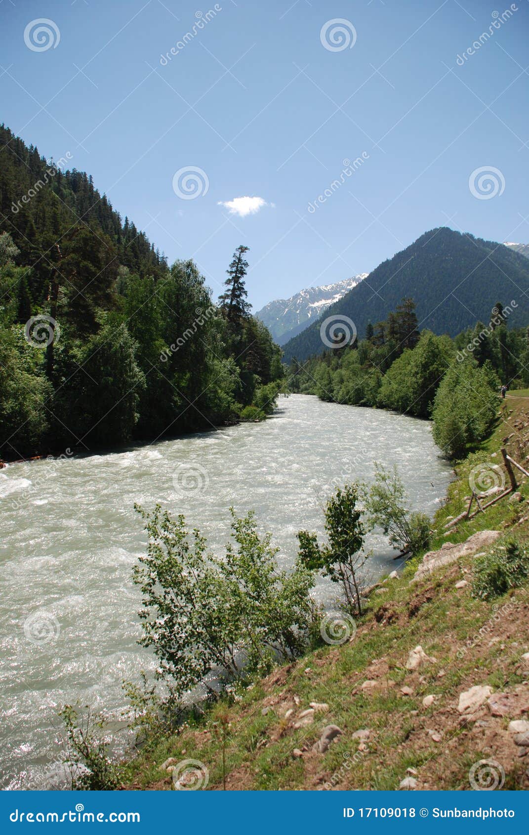 Rocky River In Forest Stock Image | CartoonDealer.com #16653499