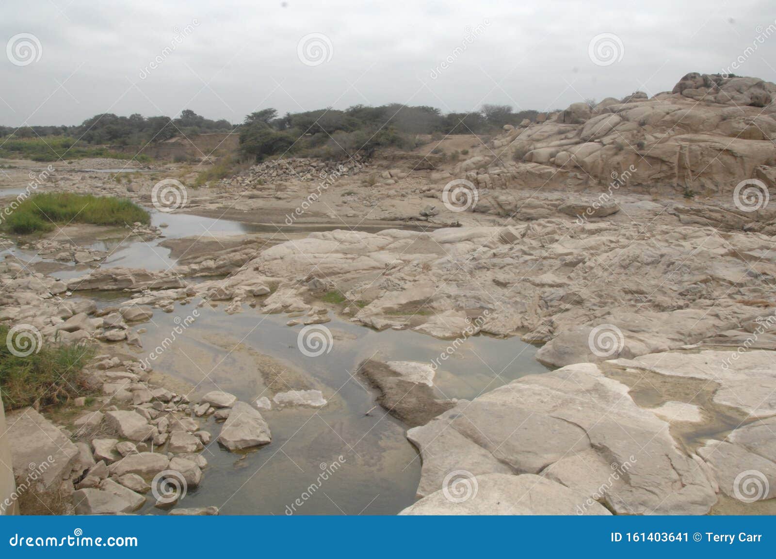 Rocky Riverbed in Reque Peru Stock Image - Image of stones, shrubs ...