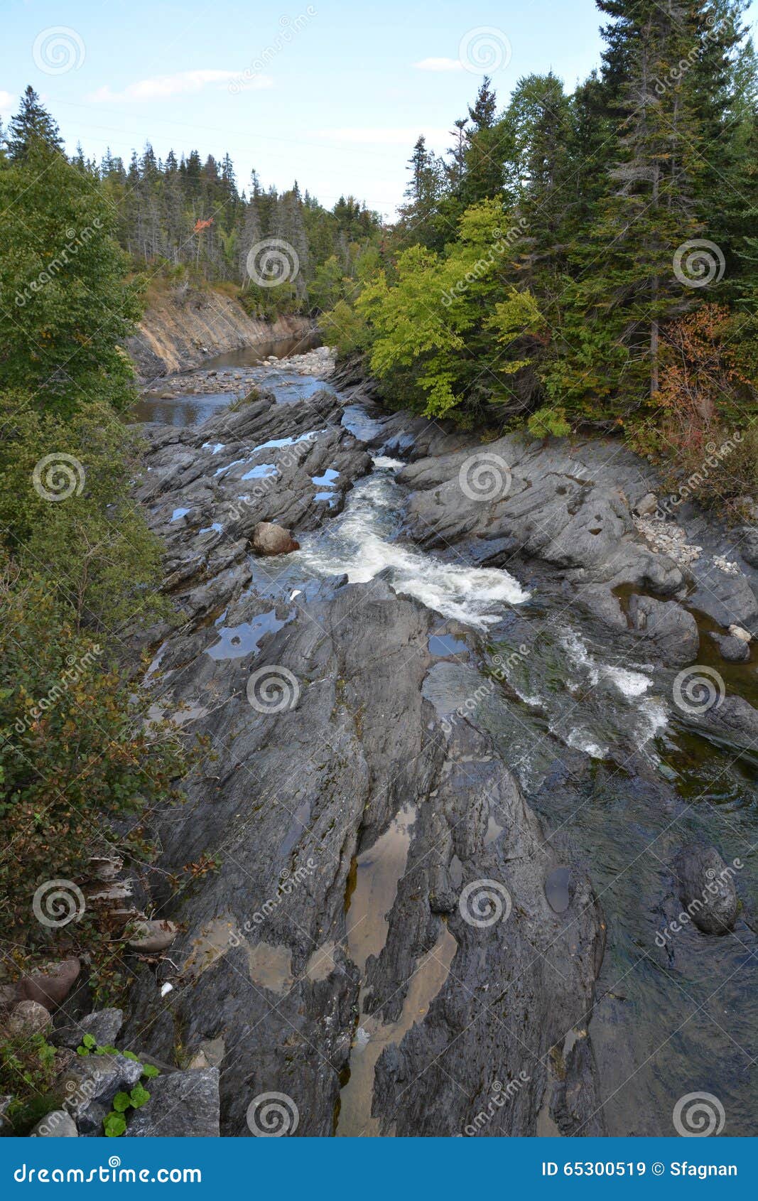 Rocky Riverbed stock image. Image of forest, nature, water - 65300519