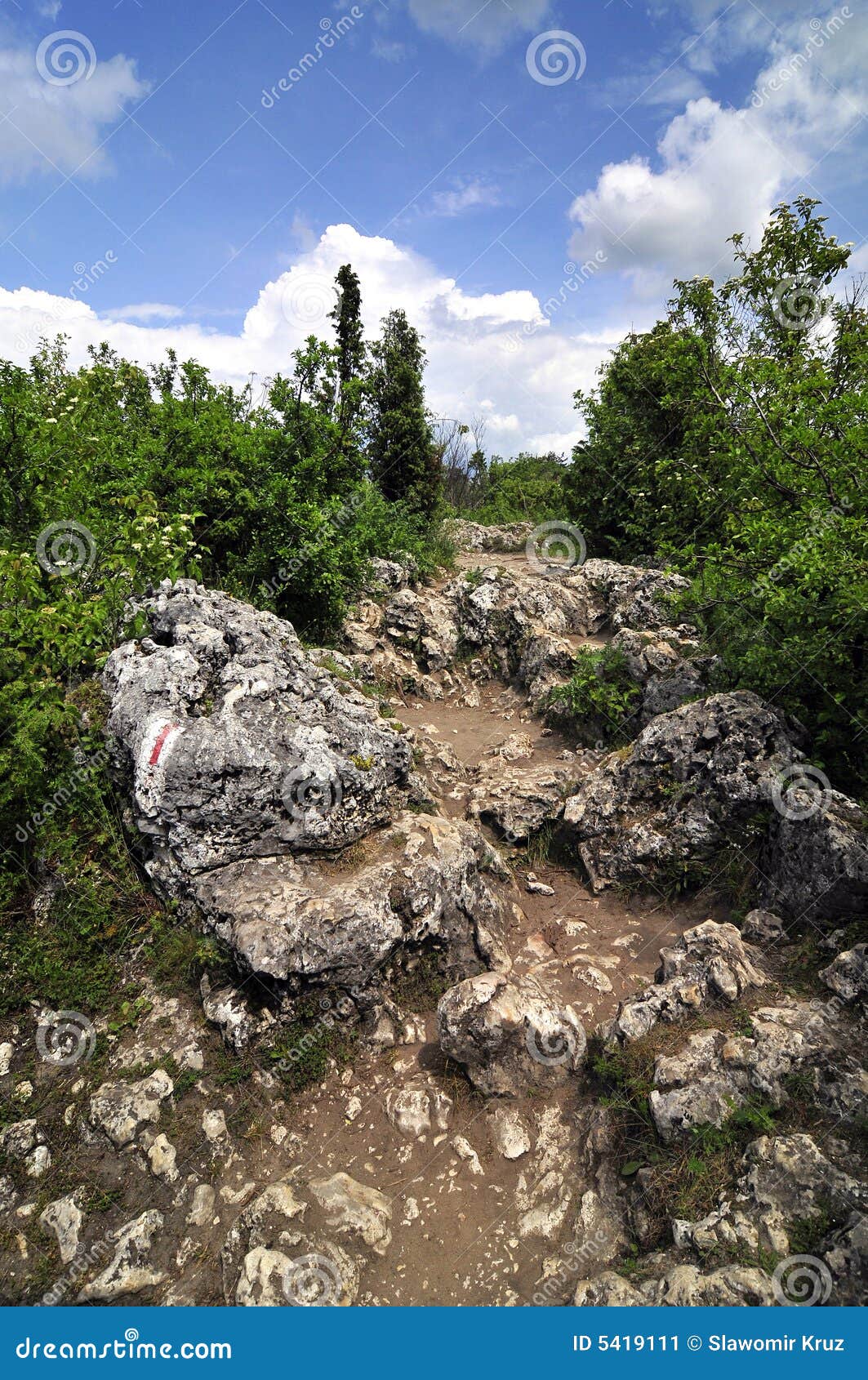 Rocky road stock image. Image of path, tree, plant, outdoors - 5419111