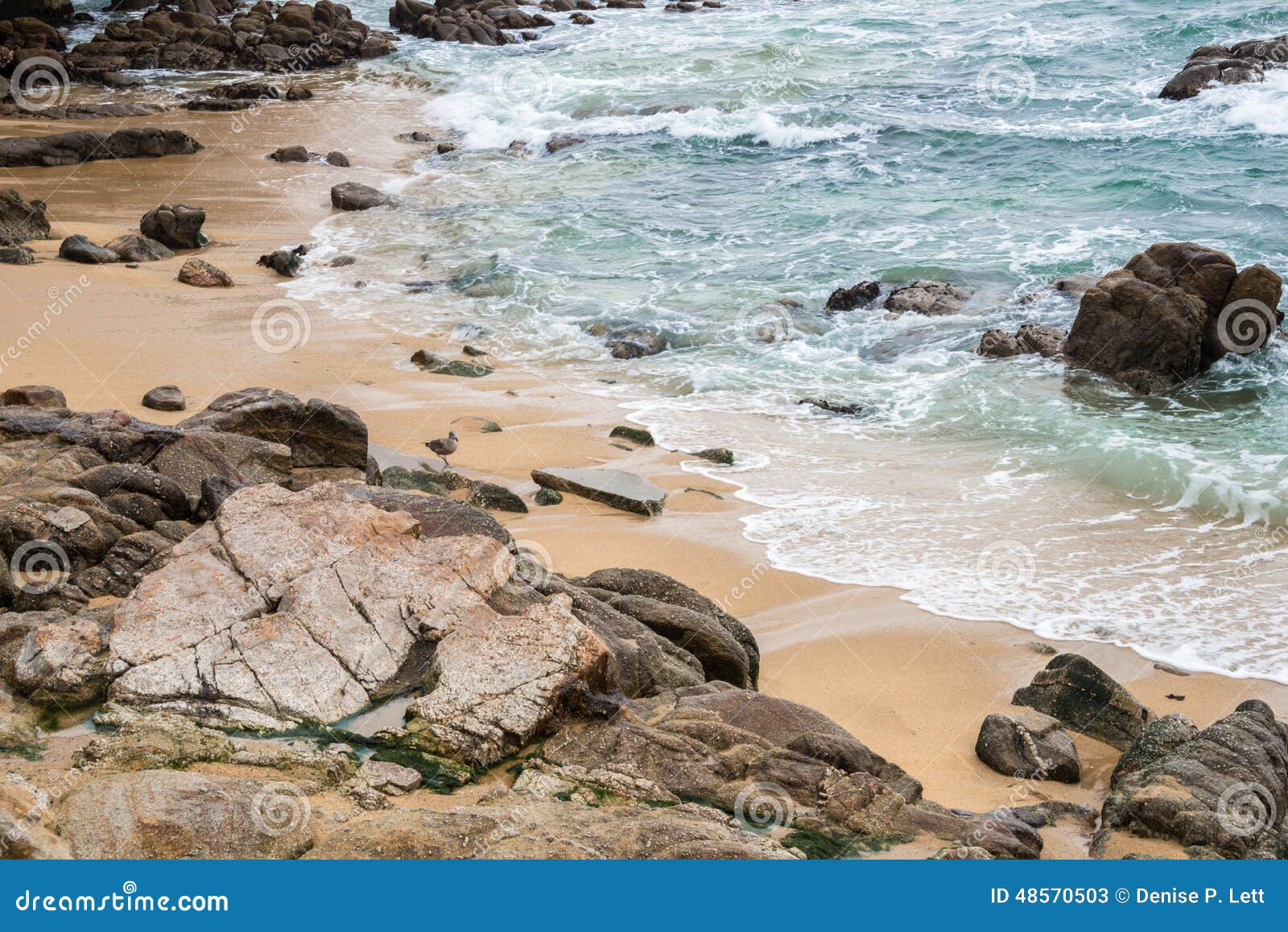 Rocky Sandy Beach stock afbeelding. Image of overzees - 48570503